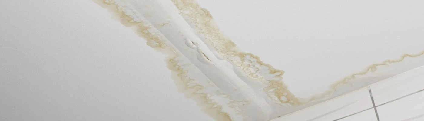 Ceiling Sag After Storms? When To Replace Vs Re‑Screw Gyprock Sheets